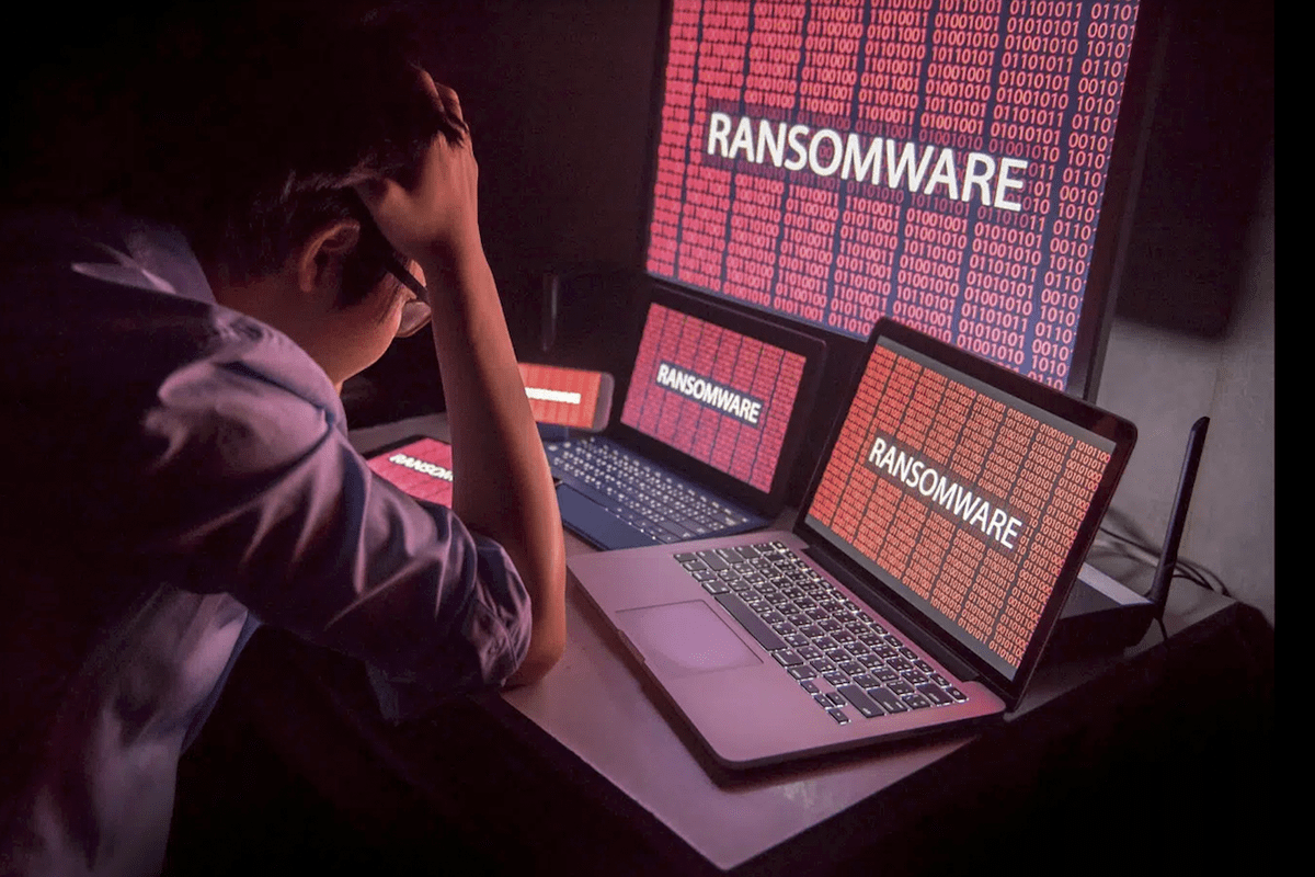 Claves para mejorar la ciberseguridad en las empresas - Boletin.mx